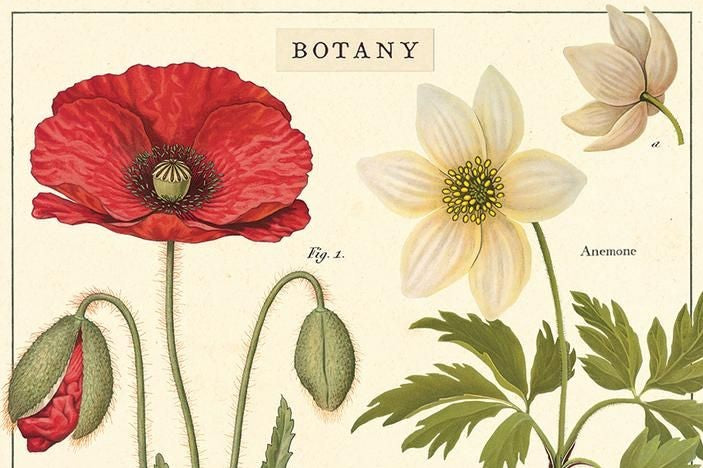 Botany
