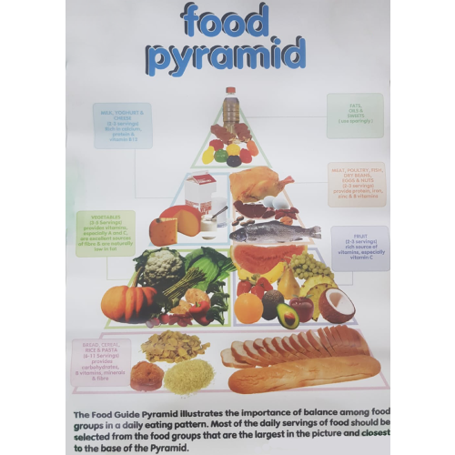 Food Pyramid Poster